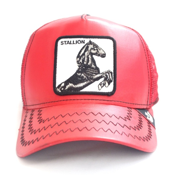Goorin Bros | Accessories | Goorin Bros The Farm Leather Stallion Horse ...